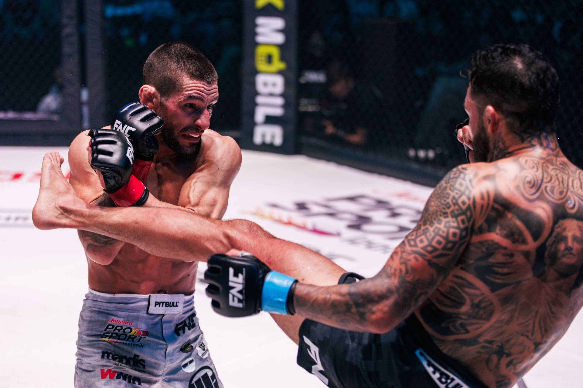 FNC.tv - The official streaming platform of the Fight Nation ...